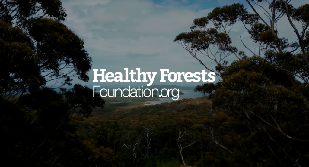 Healthy Forests Foundation